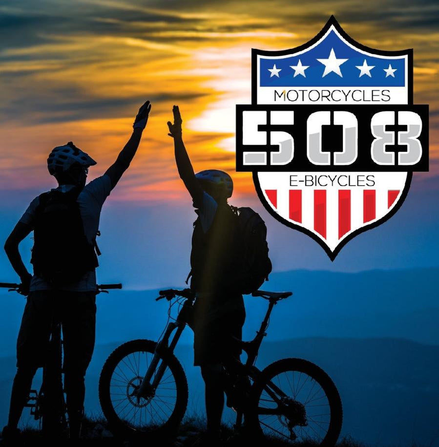 Serial 1 e-Bikes Powered by Harley-Davidson – Order Online!