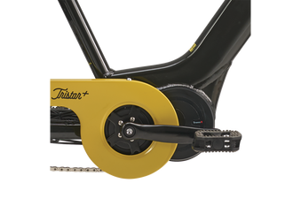 IZIP Tristar Plus High-Quality Electric Trike